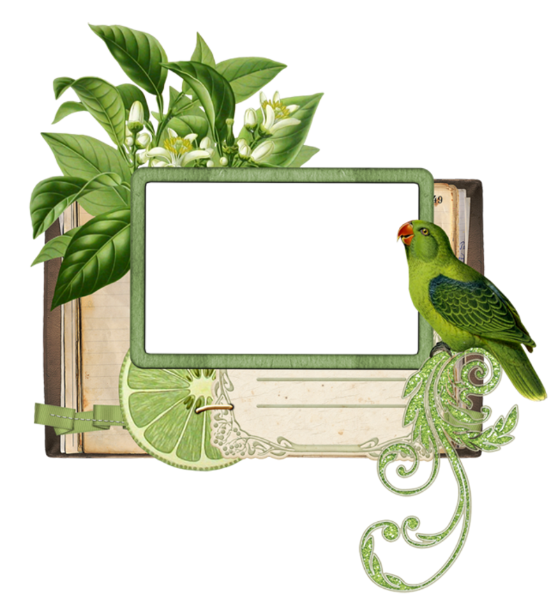 tubes cadres 2 - Page 11